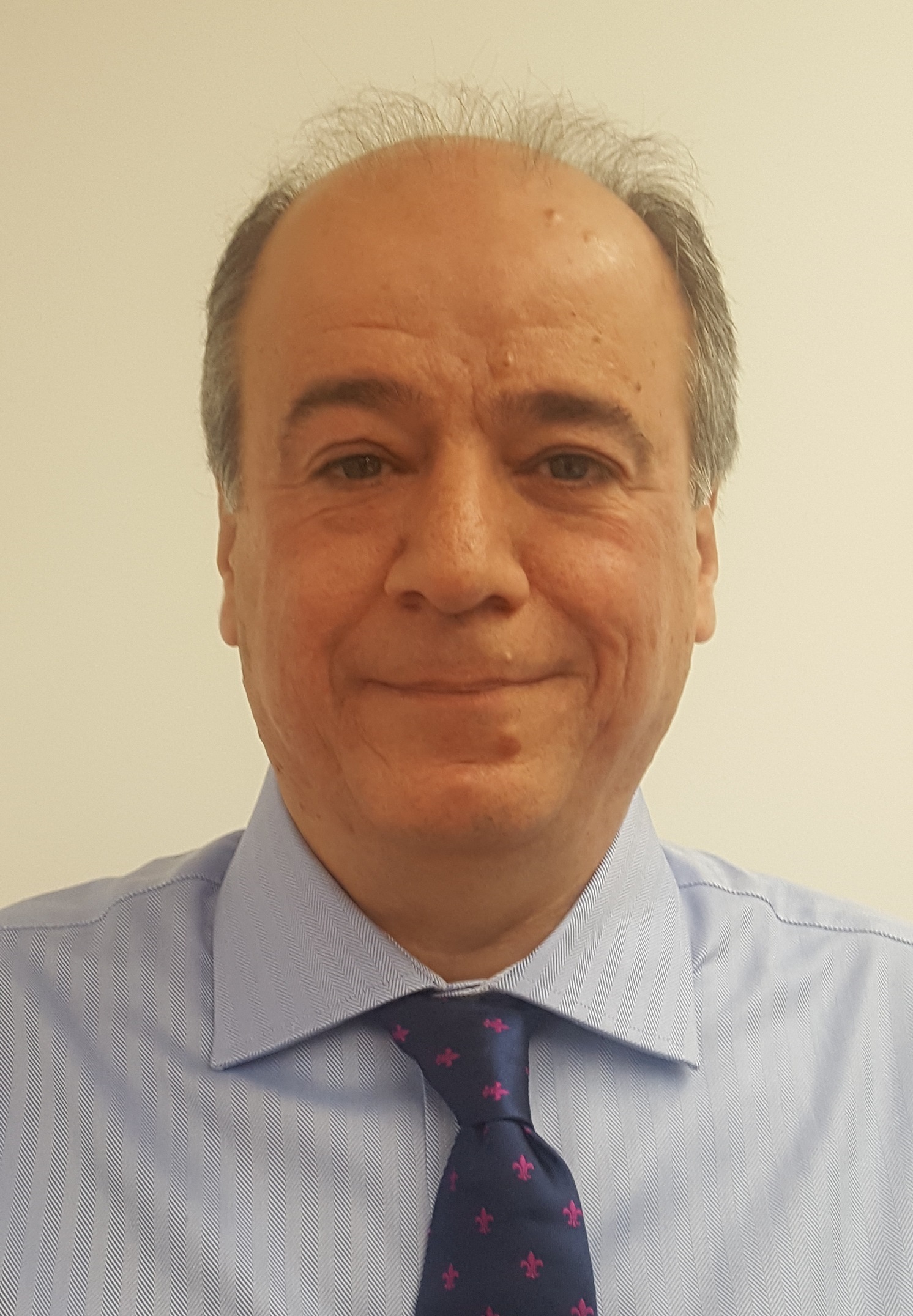 The Programme Team – SNOMED